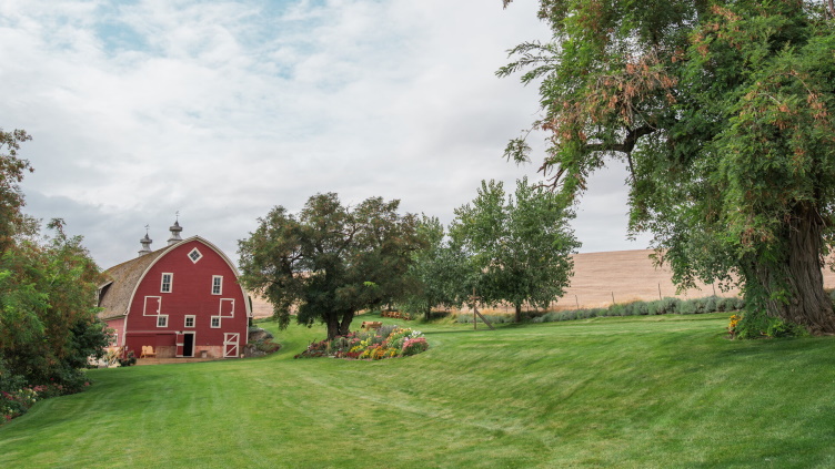 Merri elevates our whole event process. Clients are blown away with the ...